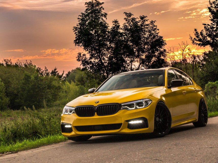 ORACAL 970 - 256 Cargo Yellow Gloss - decalppf.com